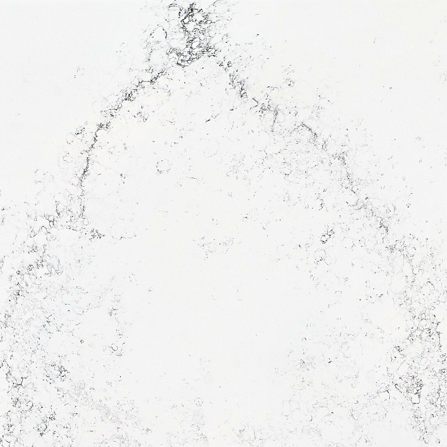 TrendStone - Stone